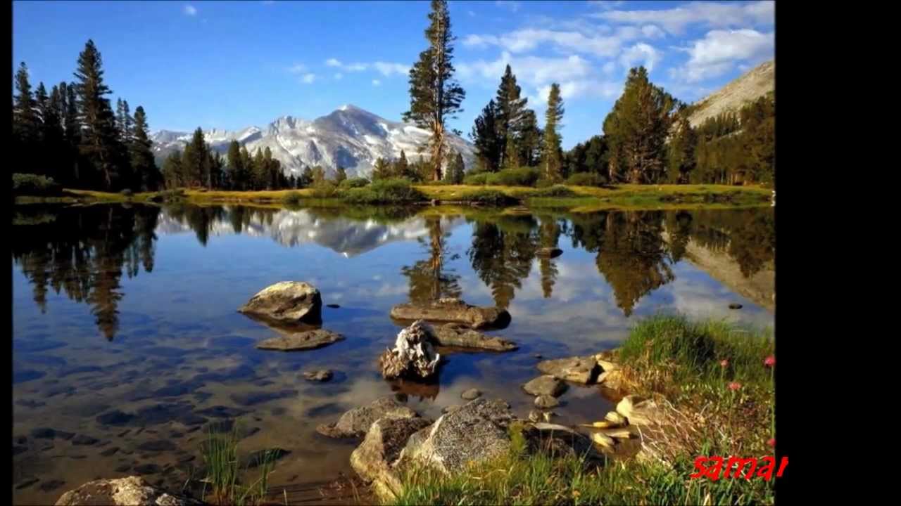 Naturaleza y Animales / Nature and Animals - YouTube