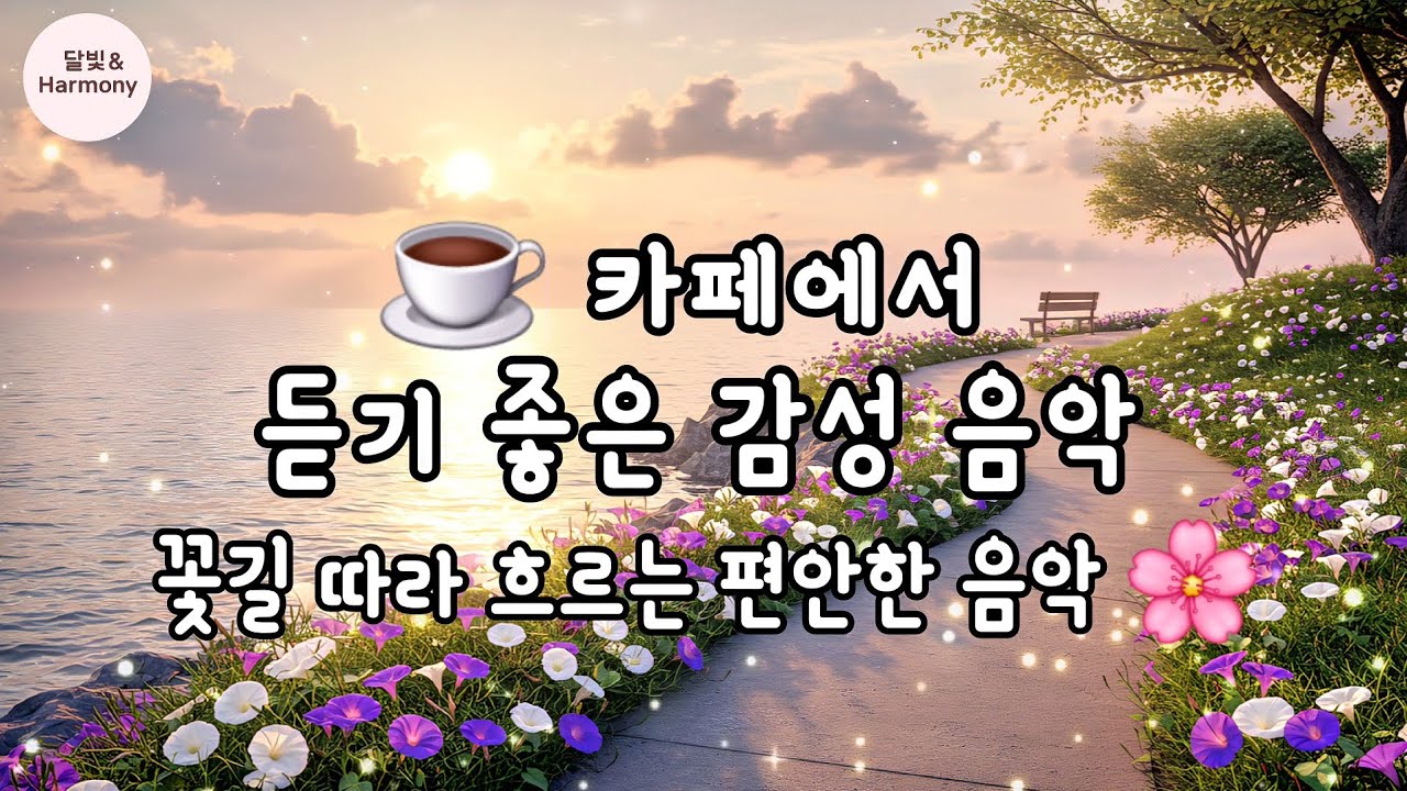 카페감성음악 카페에서 듣기 좋은 음악 바닷가 꽃길 따라 걷는 듯한 잔잔한 감성 Playlist 바람 따라 걷는 듯한