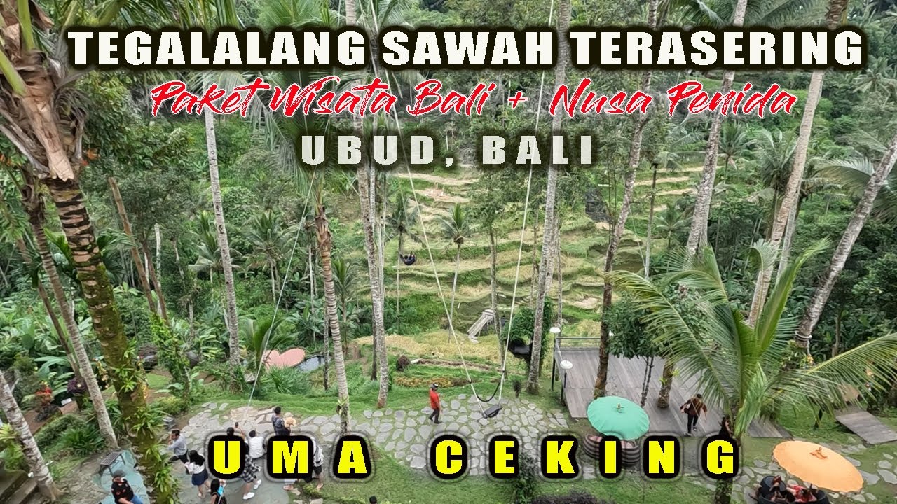Tegalalang Sawah Terasering Ubud, Bali | Uma Ceking | Paket Wisata Bali ...