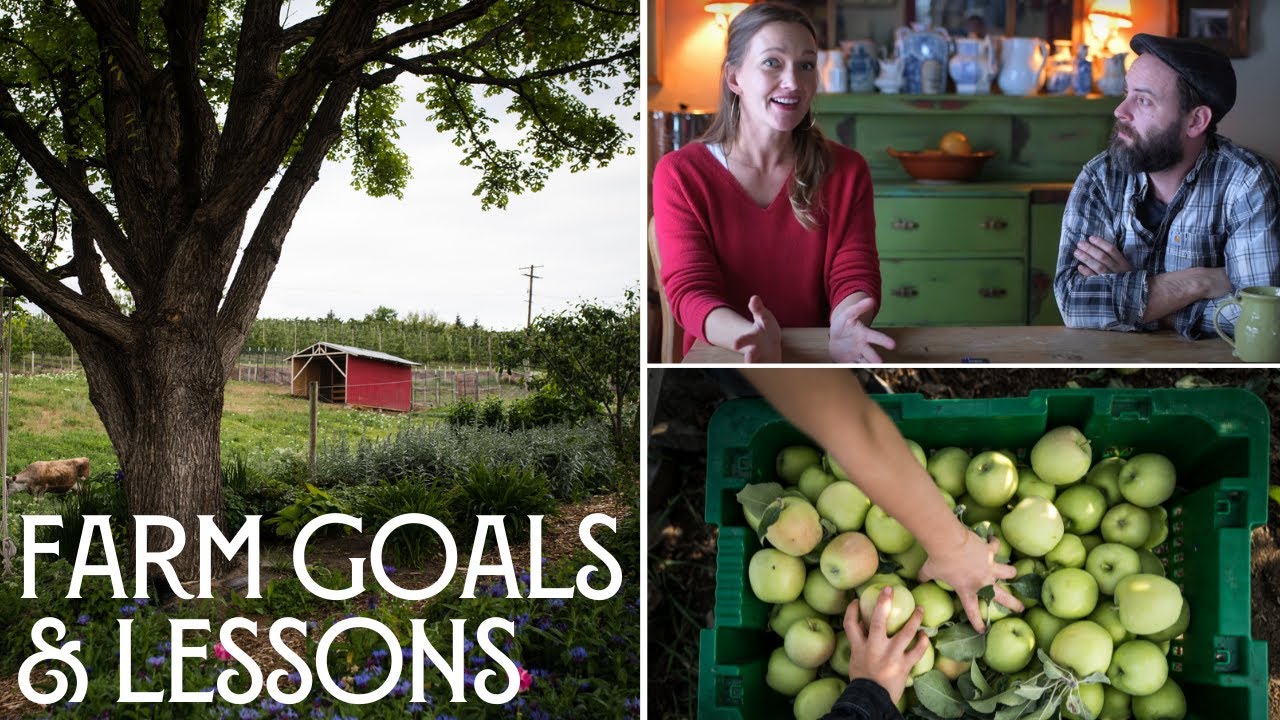 BUILDING A FARM: New Goals and Lessons Learned | Homesteading Family ...