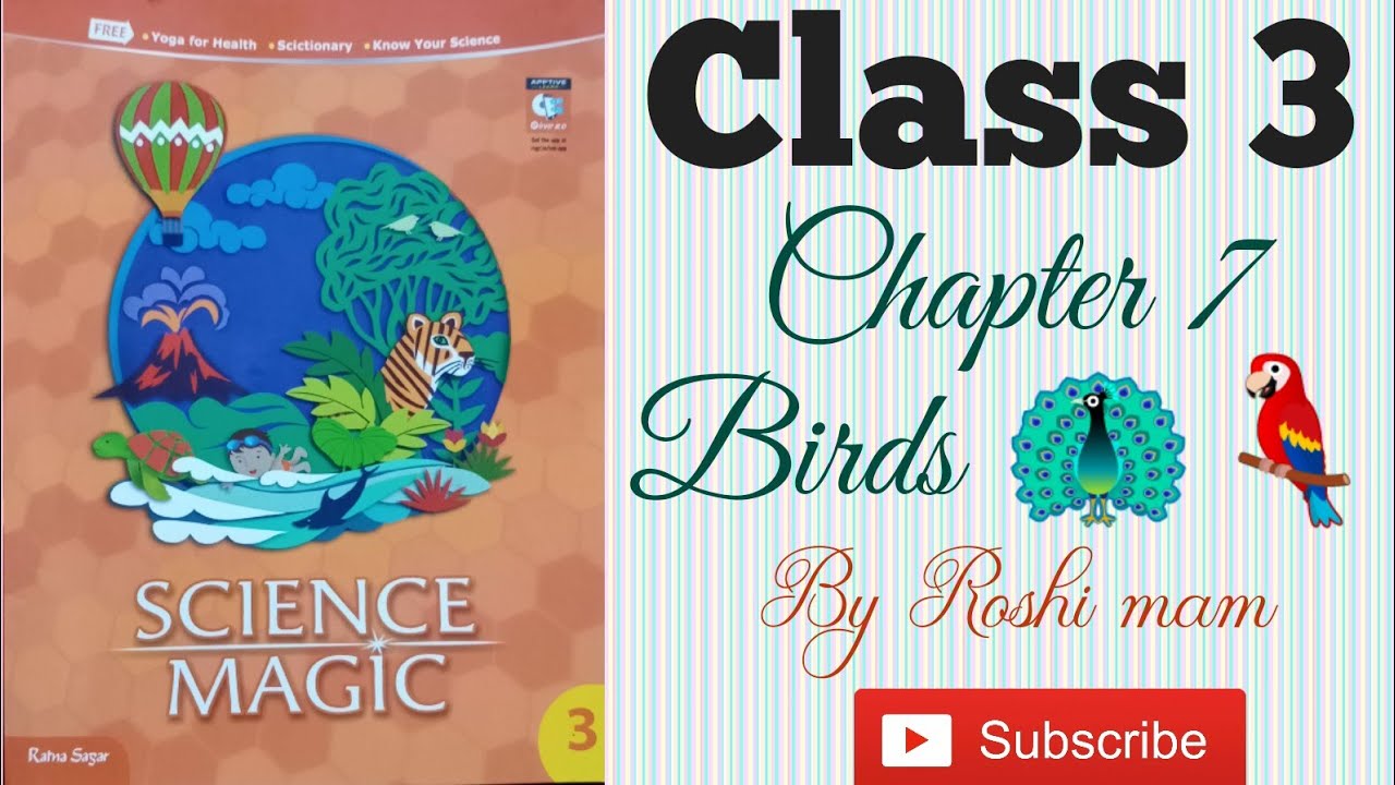 Birds |Science Magic | Class 3 | Chapter 7 - YouTube