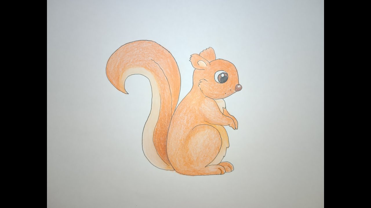 How to draw a squirrel - YouTube