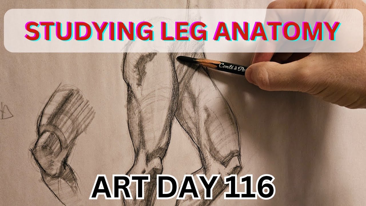 Art Development 116 - Studying Leg Anatomy - YouTube