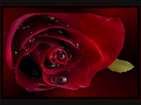 Bir bulut olsam - kina türküsü -  balalar icinde yigit balası