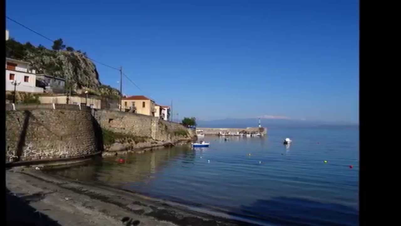 Ελιά Λακωνίας - YouTube