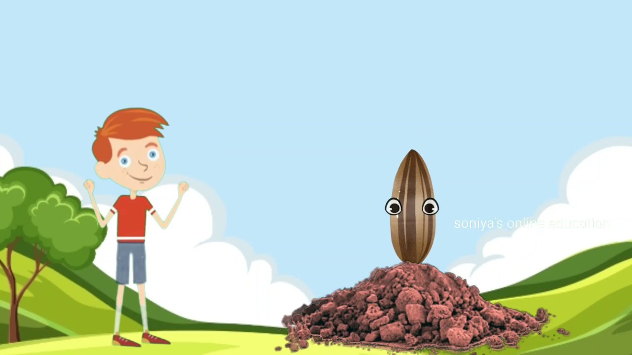 Magic seed poem std 1st | I found a tiny seed | English Balbharati book ...