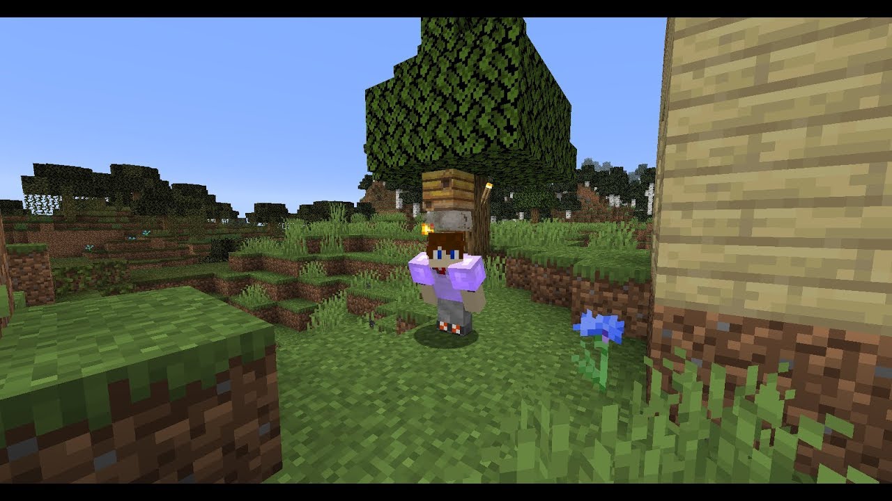 BUSY BEES | SMP Minecraft Season 2 - YouTube