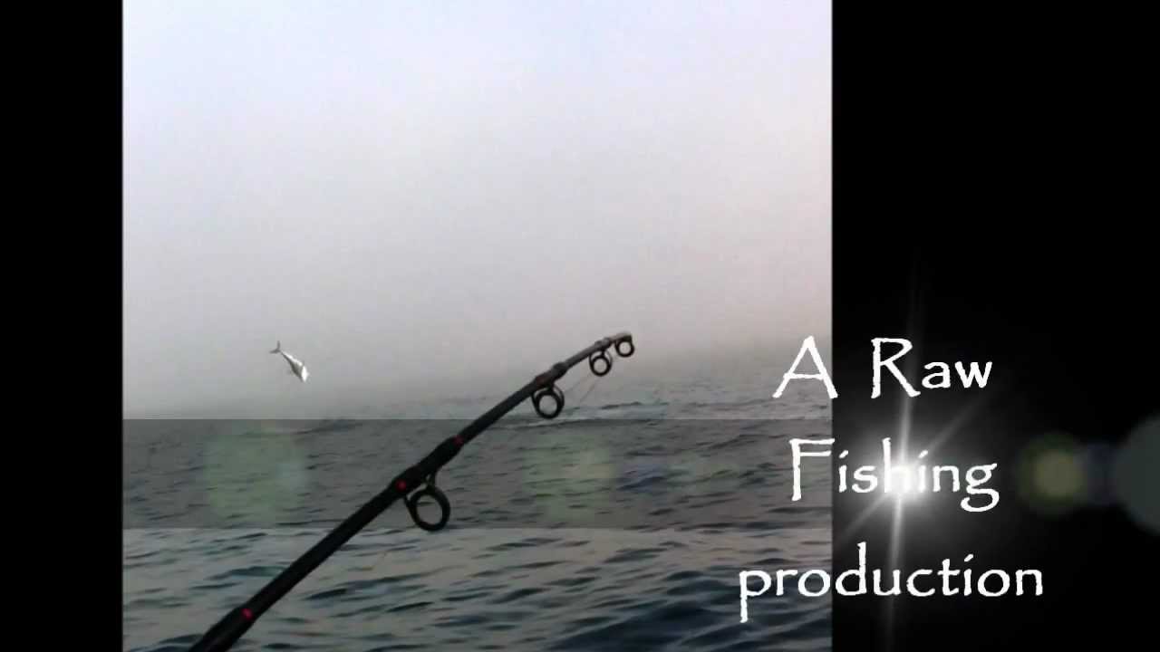 Good Friday Mako Madness. Welshpool shark fishing - YouTube