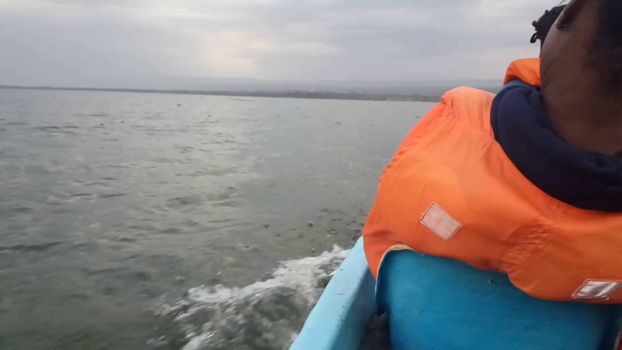 BOAT RIDE AT LAKE NAIVASHA... Elyzza Tours... - YouTube