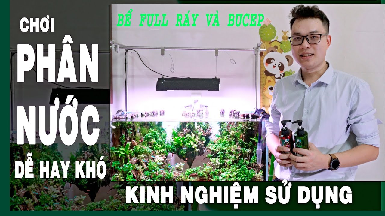 Phân Nước và kinh nghiệm sử dụng thực tế cho bể full ráy, bucep # ...