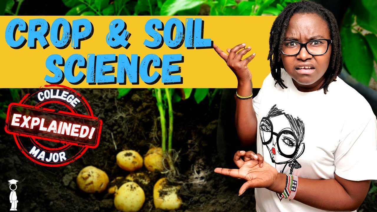MSU Crop And Soil Sciences Major, Courses, AND Career Paths | Day 33/90 ...