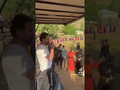 Şiyar berwari  Puştları gördüm