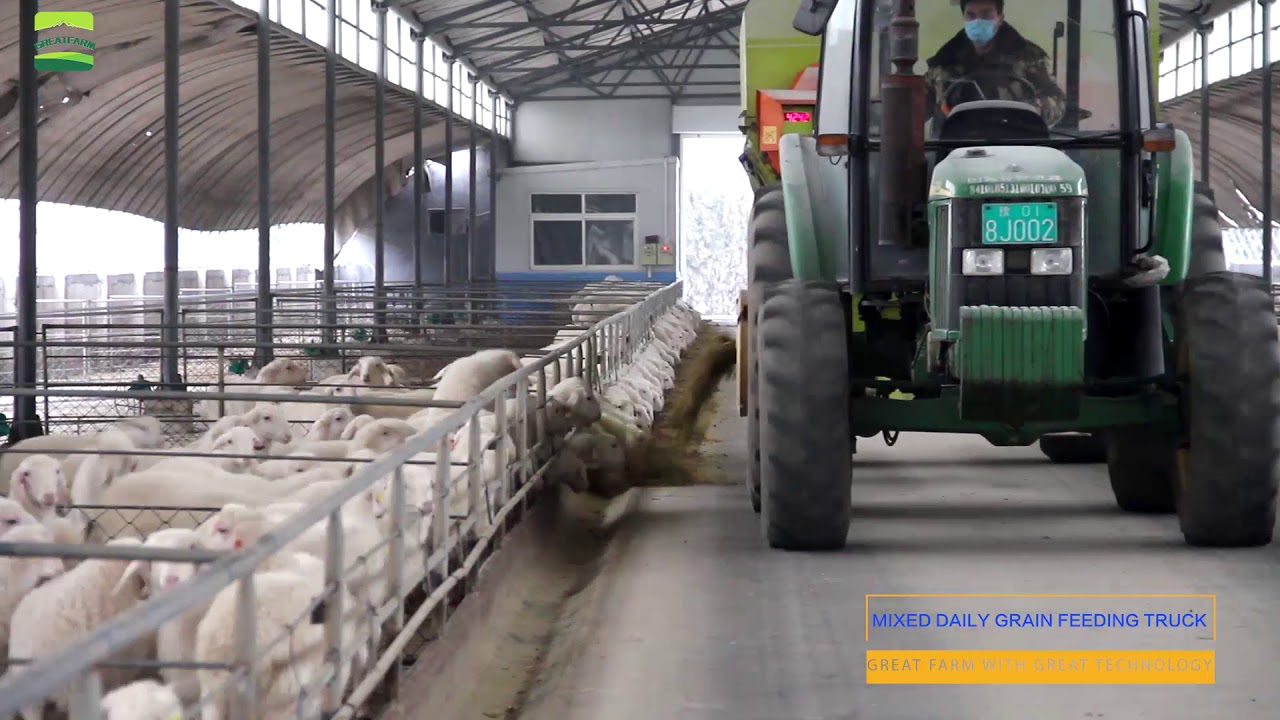GREAT FARM 'SHEEP FARMING' PROJECTS - YouTube