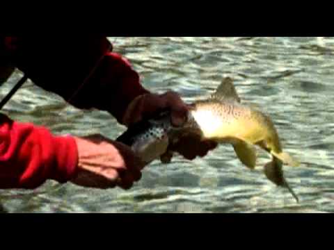 Río Rivadavia ESPN - YouTube