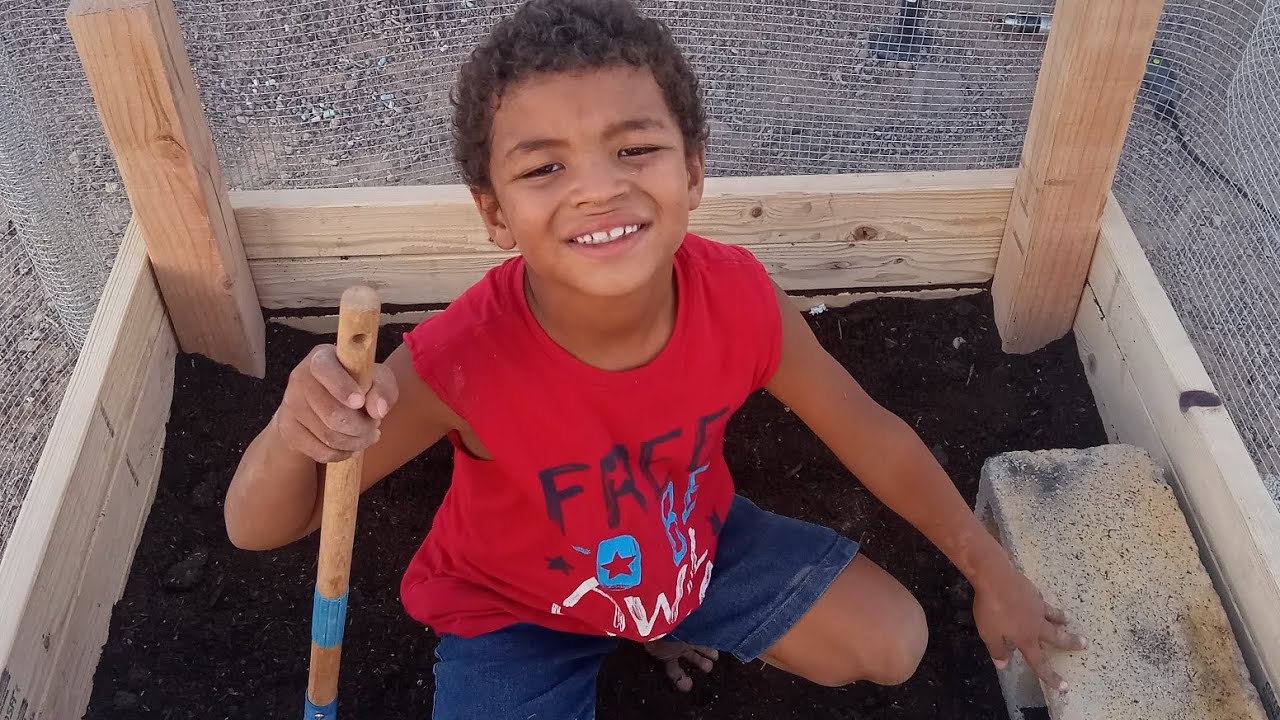 building a pest proof flower bed - YouTube
