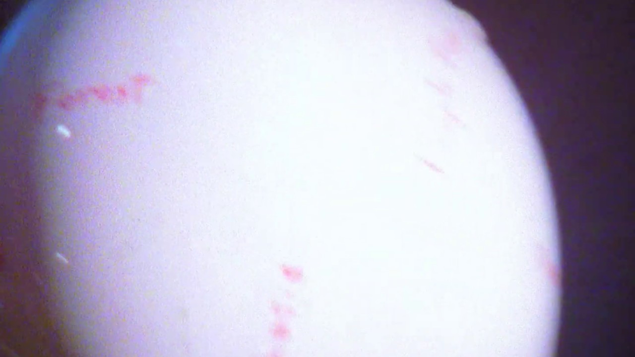 ÓRALE MAG Presents: Pablo Sotelo of Inner Wave - YouTube