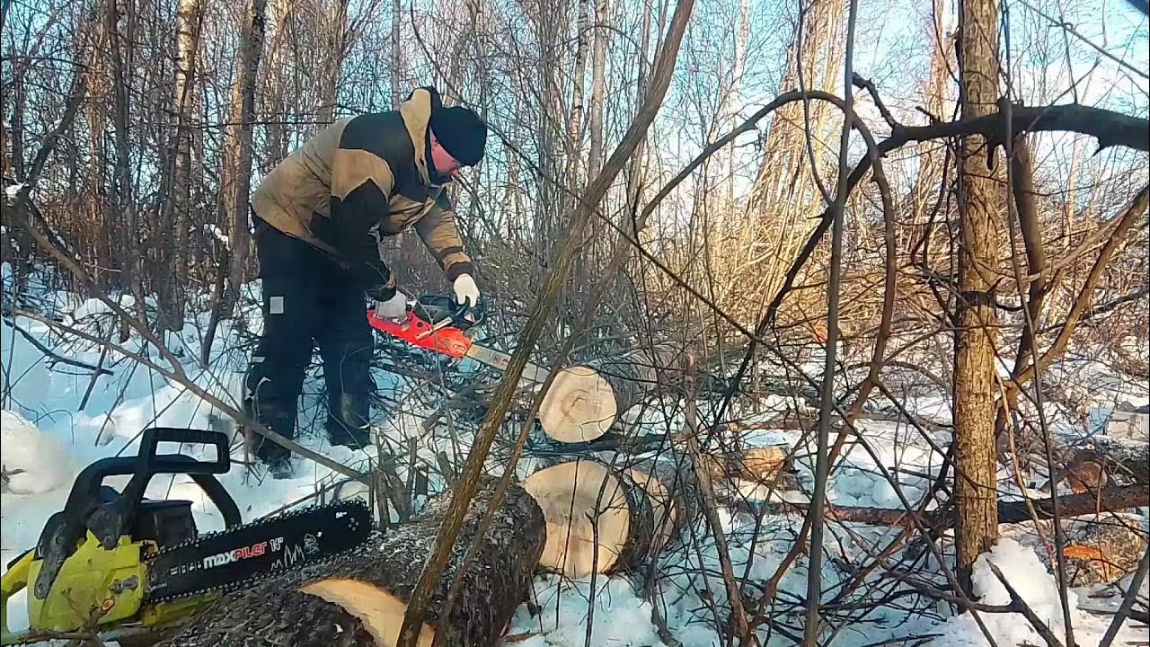 Бензопила Carver 158-18 в зимнем лесу. - YouTube