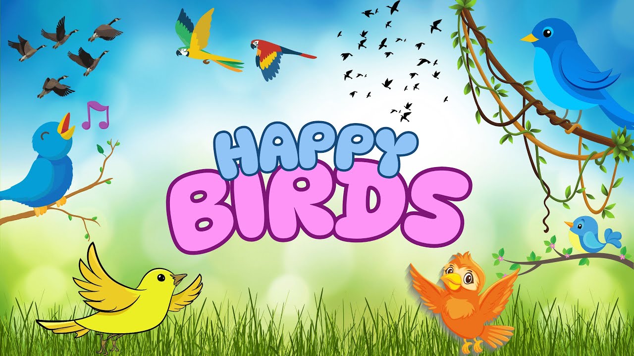 Happy Birds! 🐦🎶 - YouTube