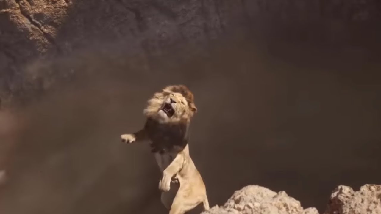 Sonic The Hedgehog 3 Shadow Meets Mufasa - YouTube