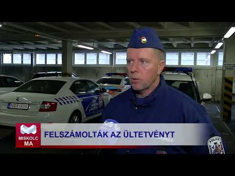 Marihuana ültetvényt számolt fel a rendőrség