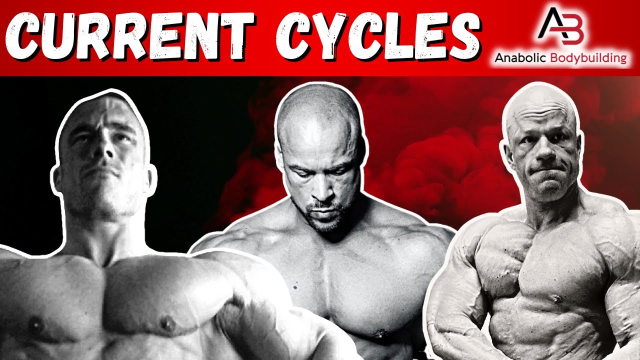 Roman, Chase, & Paul Discuss Their Current Cycles - YouTube