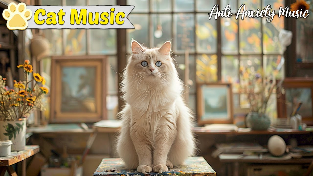 The best music to keep your cat happy - Music for Feline Serenity ...