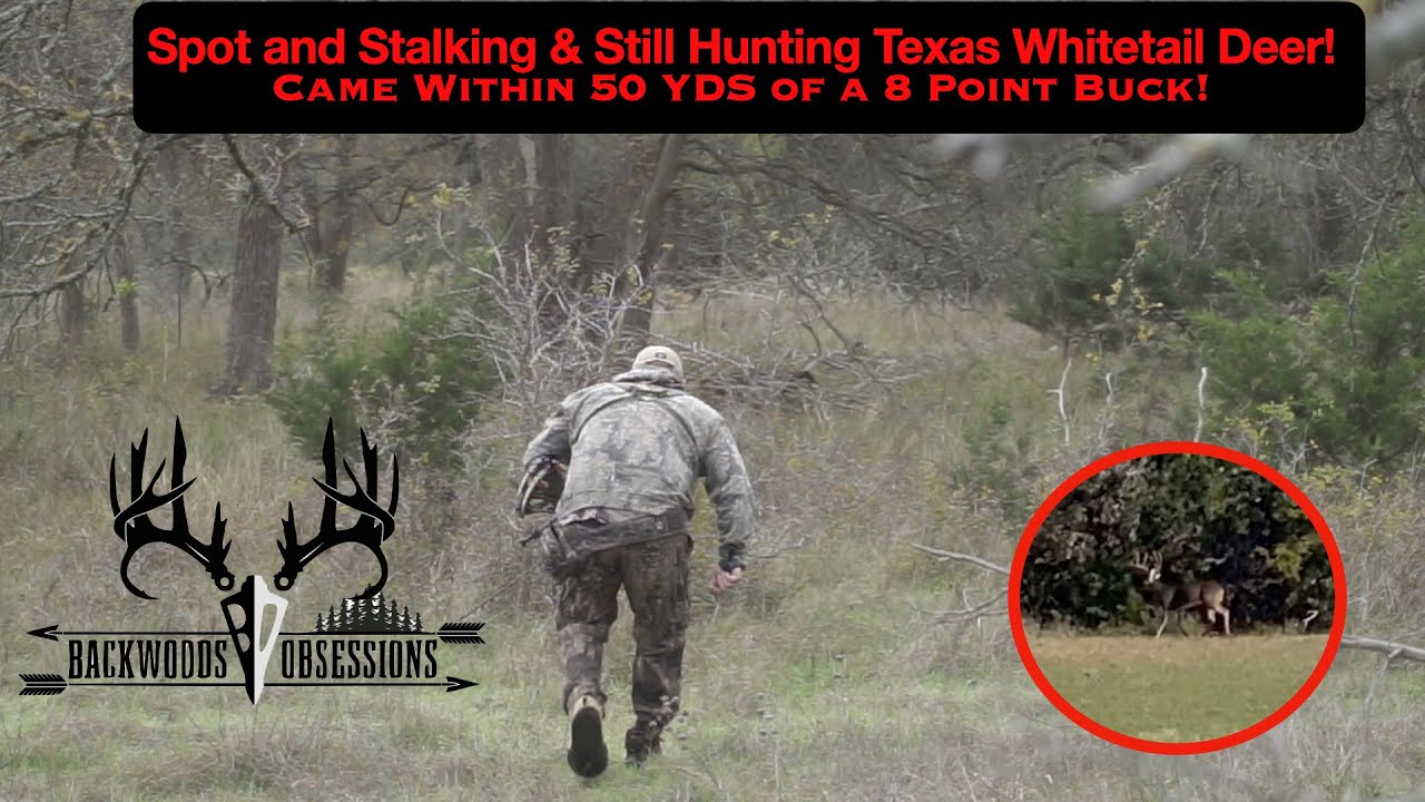 Spot and Stalking & Still Hunting Texas Public Land Whitetail! Came ...