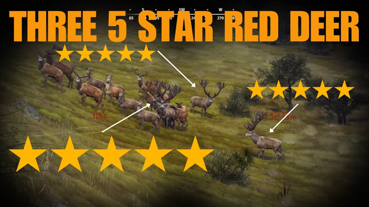 #Way of The hunter three 5 star Red Deer - YouTube