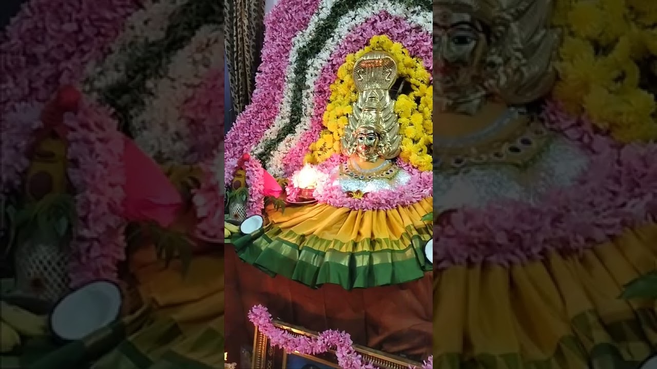 #dhivakar#pambai - YouTube