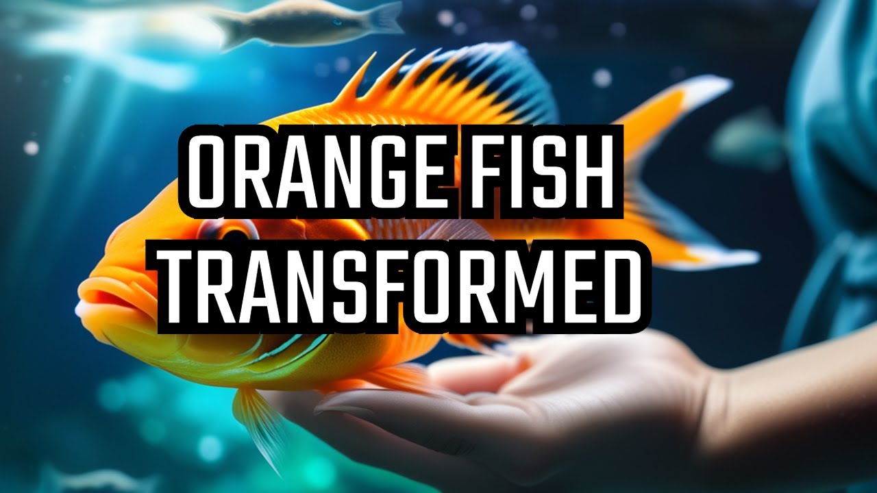 ORANGE FISH MANIPULATION IN PHOTOSHOP|| - YouTube