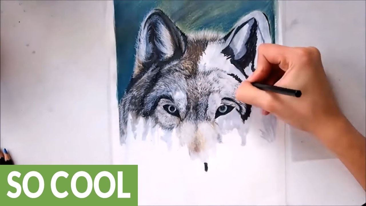 Incredible wolf time lapse drawing - YouTube