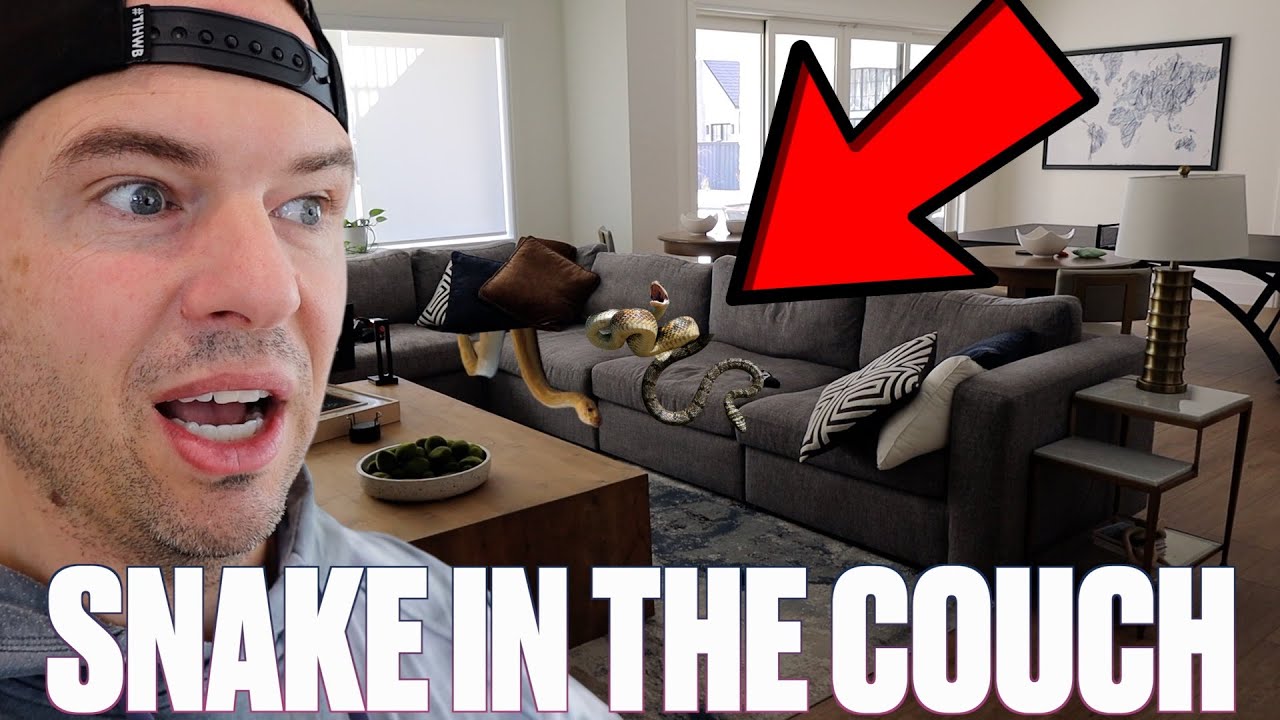 WE FOUND A SNAKE IN OUR COUCH! YOU WON'T BELIEVE HOW IT GOT THERE ...