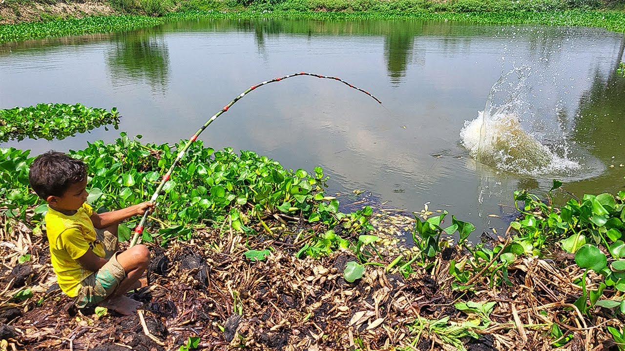 Amazing Fishing Video | Incredible Hook Fishing by Village Boy | Indian ...