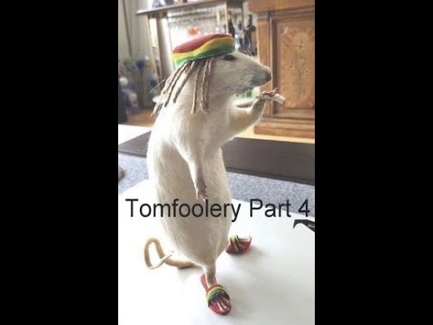 Tomfoolery Part 4 - YouTube