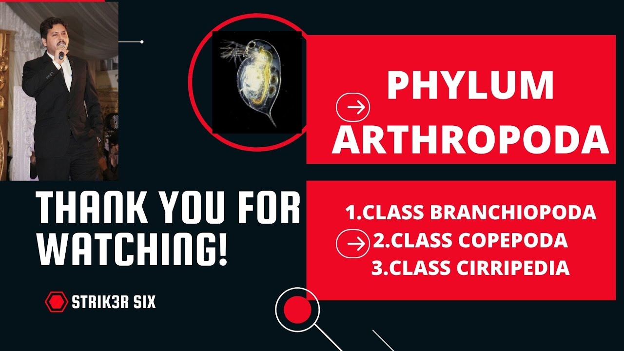 CLASS COPEPODA,BRANCHIOPODA AND CIRRIPEDIA - YouTube