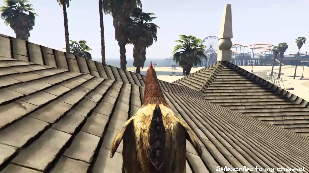 Gta v - play as bird - YouTube