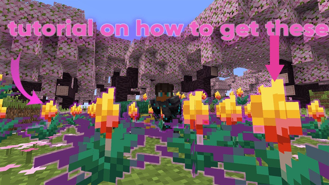 Uncover The SECRET To Growing Torchflowers In Minecraft YouTube uncover-the-secret-to-growing-torchflowers-in-minecraft-youtube