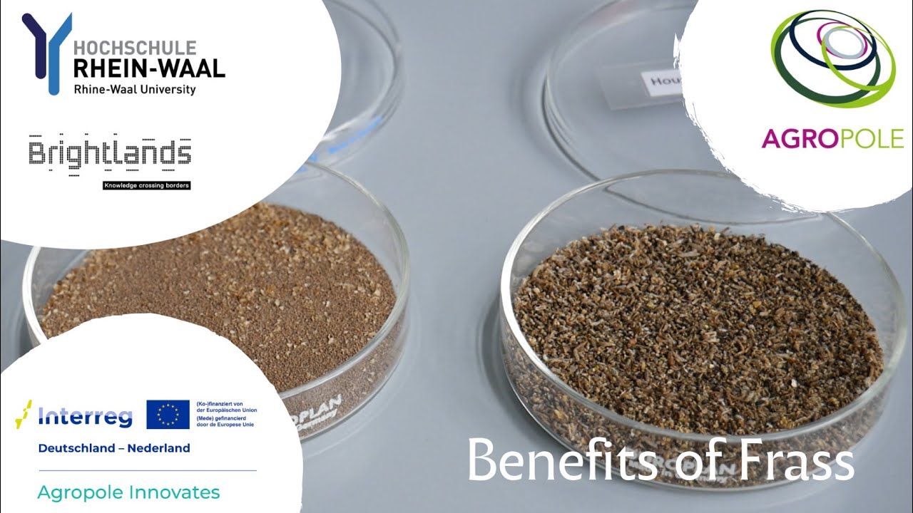 Benefits of Frass- Agropole Innovates - YouTube