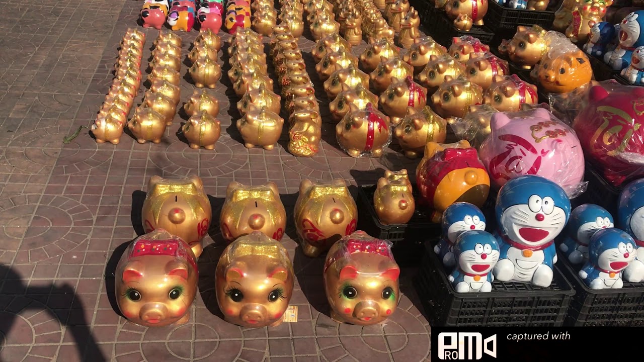 Heo đất đẹp - YouTube