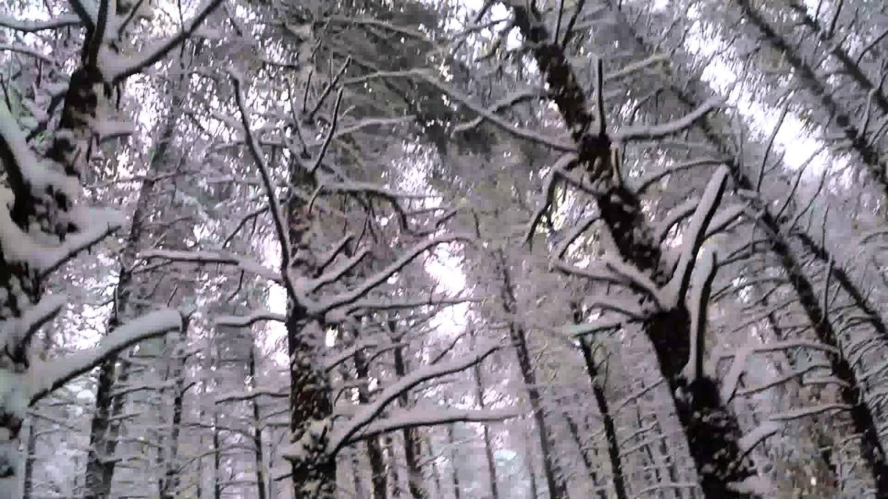 Winter Wonderland Holland, MI January 2014 - YouTube