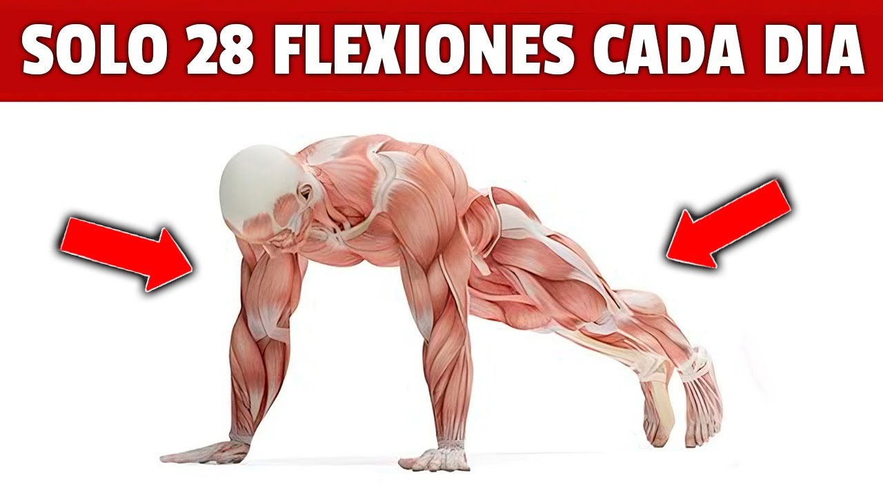 28 Flexiones Por Dia Que Cambiaran Tu Cuerpo - YouTube
