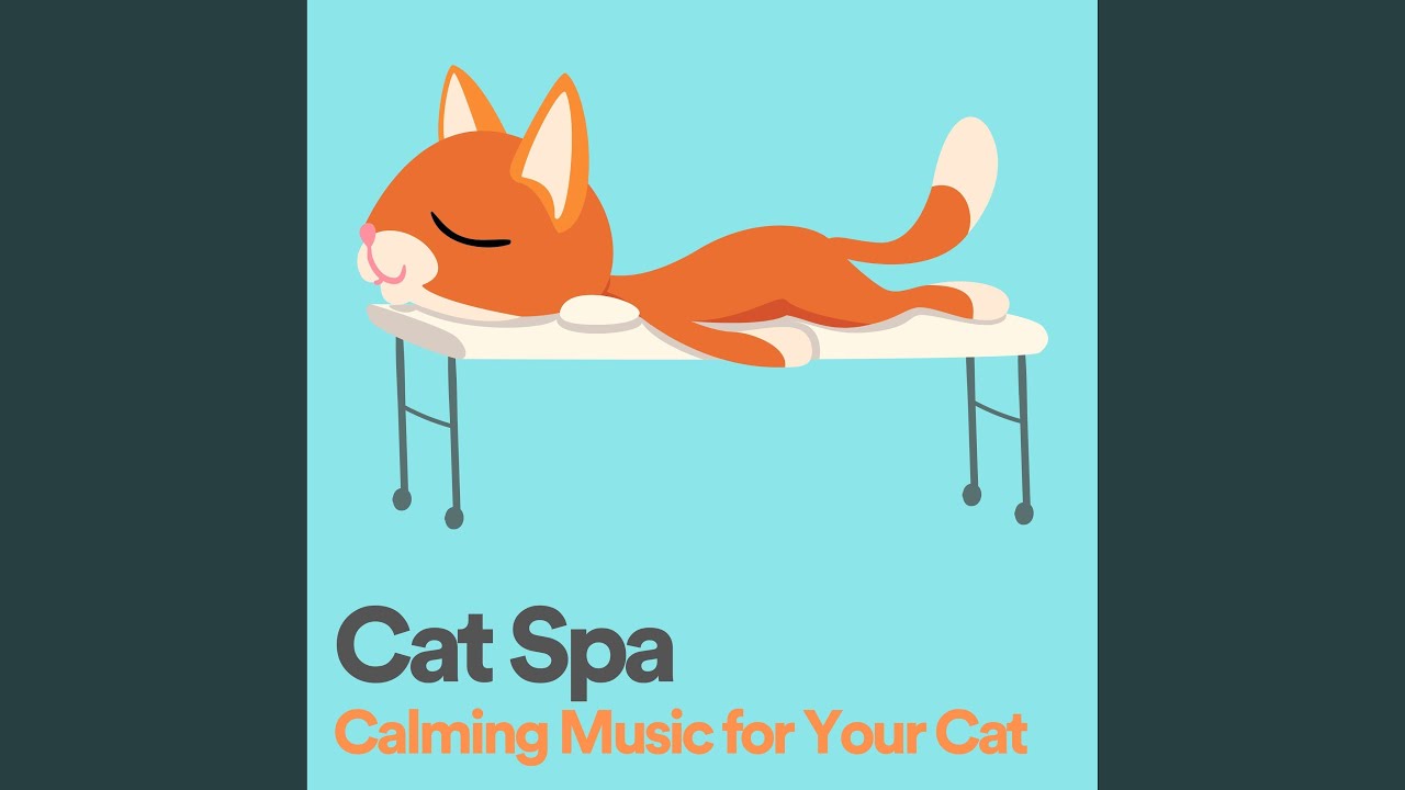 Cat Spa Calming Music for Your Cat, Pt. 15 - YouTube