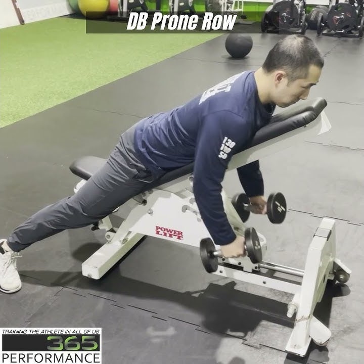 DB Prone Row - YouTube
