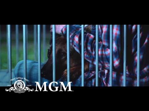 Max | Official Trailer [HD] - YouTube