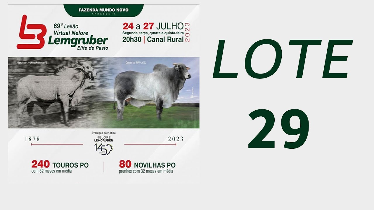 LOTE 29 - YouTube
