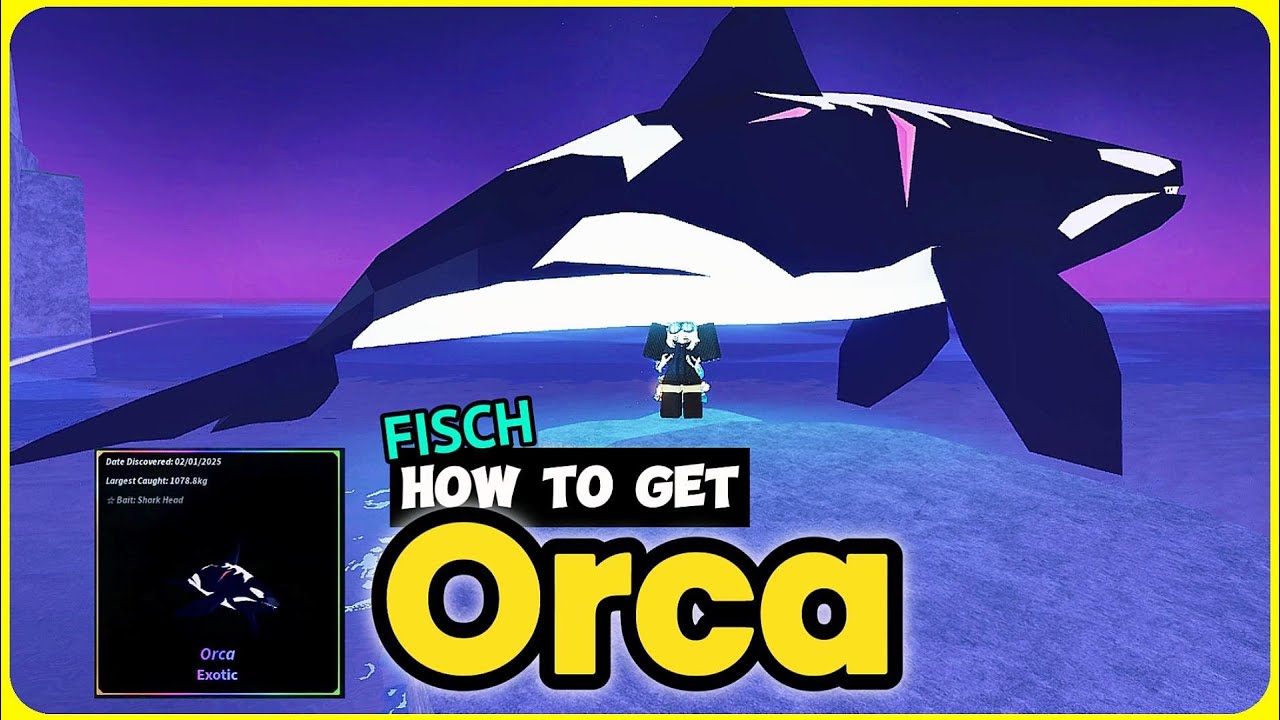How to Catch the ORCA in Fisch (EASY Guide) - YouTube