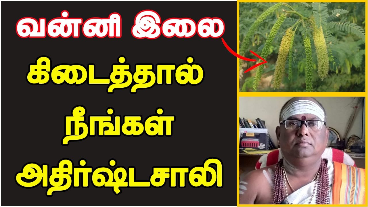 வன்னி இலை கிடைத்தால் நீங்கள் அதிர்ஷ்டசாலி | vanni maram in tamil - YouTube