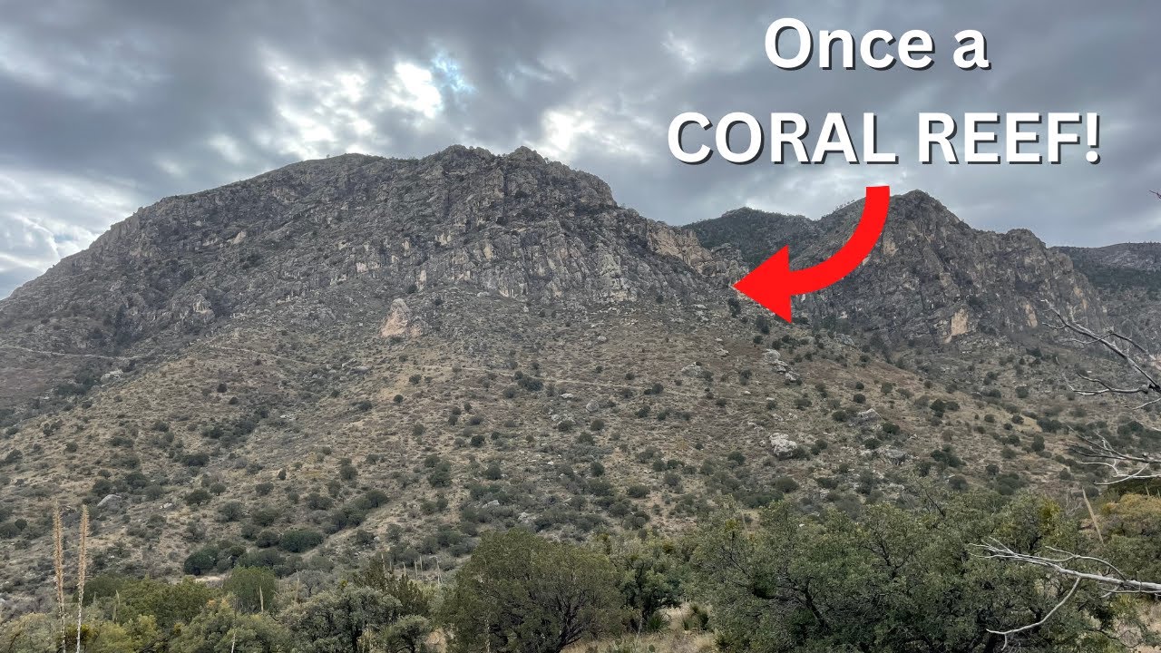 A CORAL REEF in West Texas?! Hiking Guadalupe National Park. - YouTube