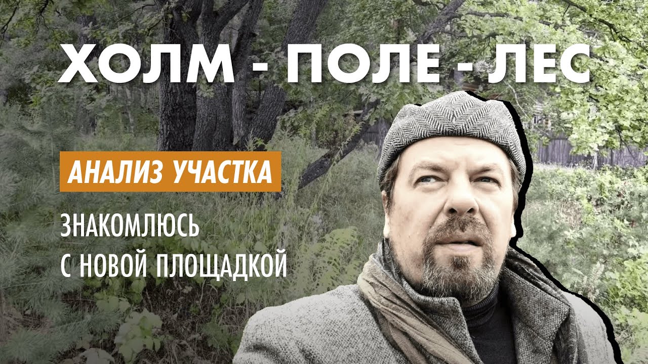 Анализ участка и поле и лес Новый проект загородного дома Youtube