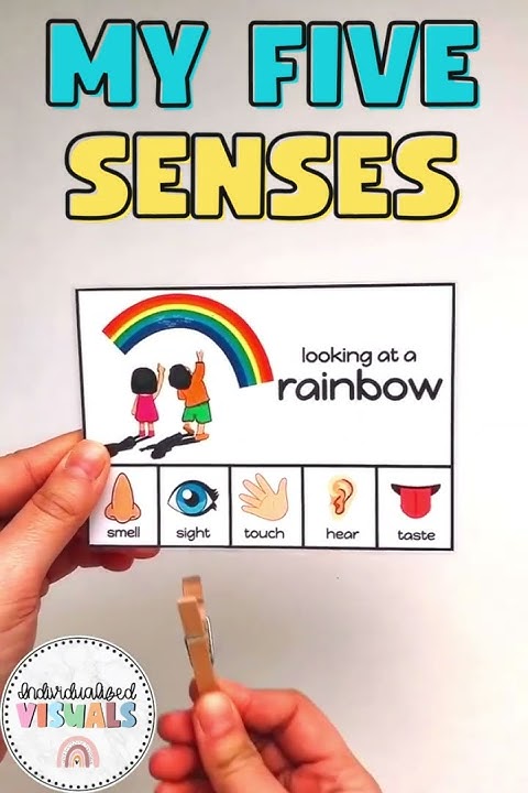 FIVE SENSES Activity for Special Education - 5 SENSES TASK CARDS - YouTube